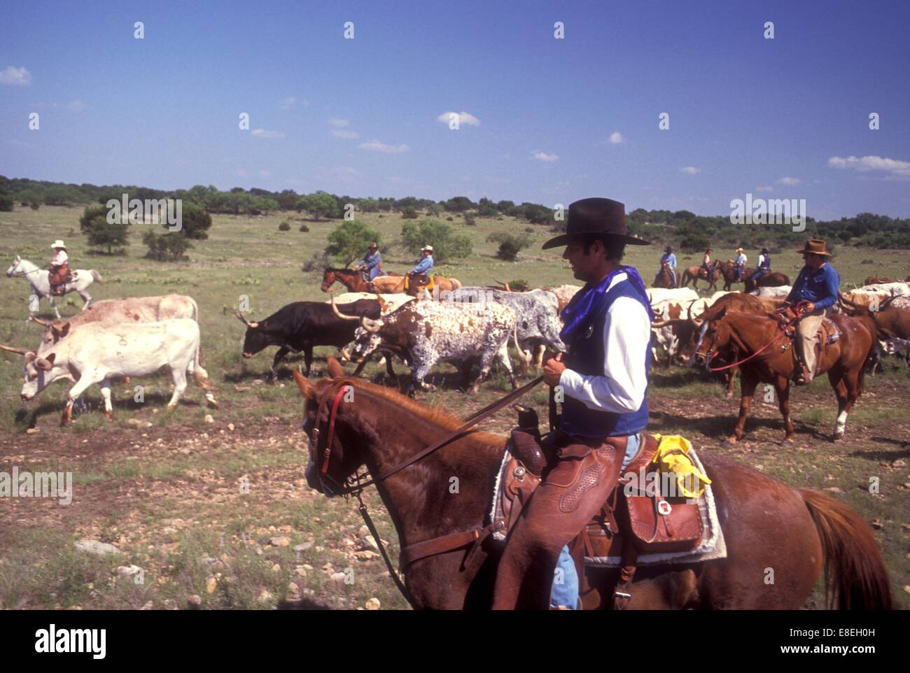 Texan cowboys hi-res stock photography and images - Alamy