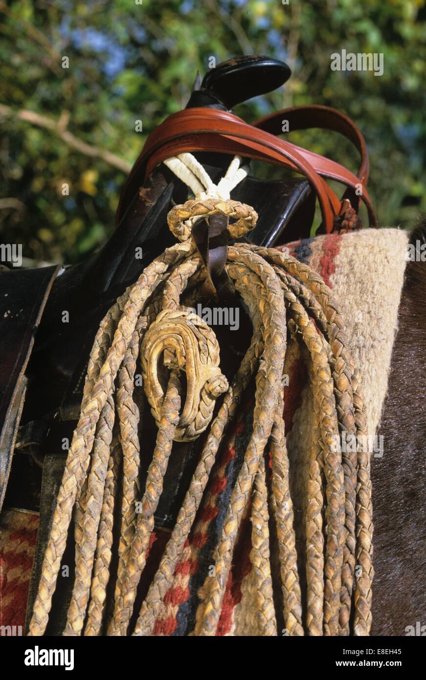 Hanging saddle hi-res stock photography and images - Alamy