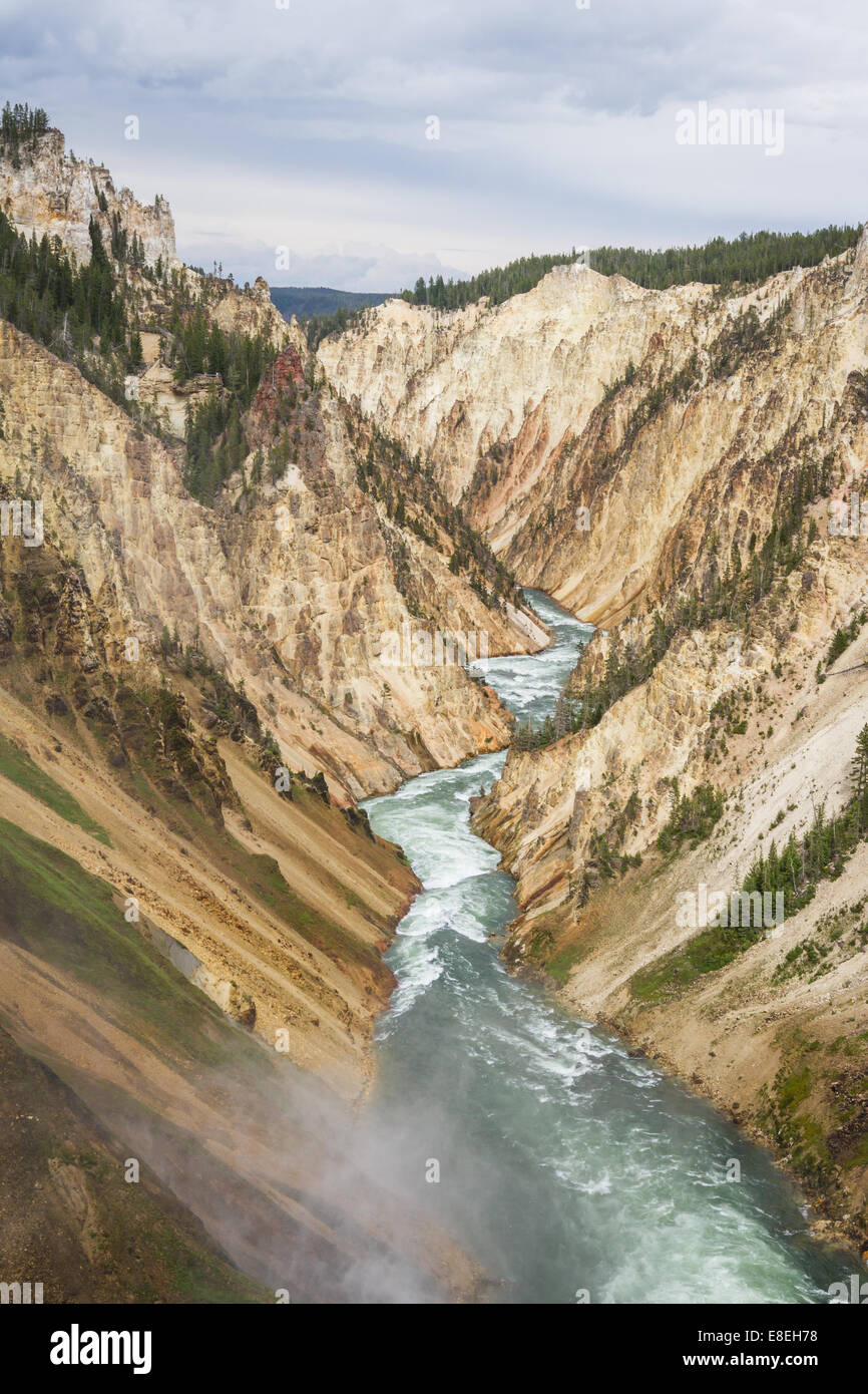 beautiful view of the grand canyon of yellowstone Stock Photo - Alamy
