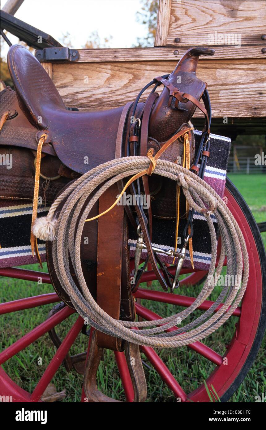 Sitting on wagon hi-res stock photography and images - Alamy