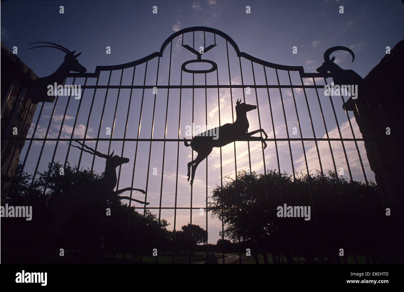 Jumping the gate hi-res stock photography and images - Alamy
