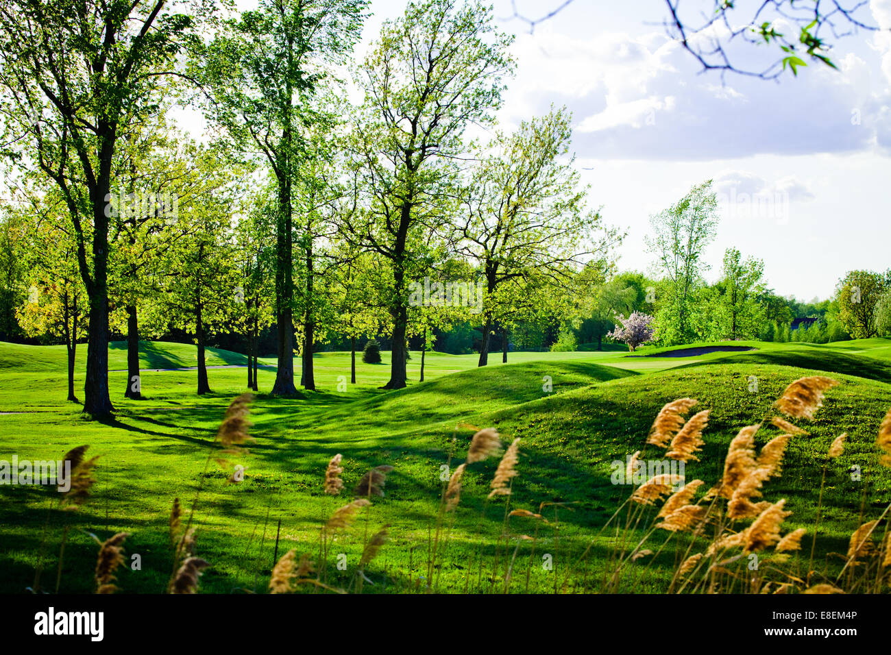 Old and beautiful bumpy golf course during the srping Stock Photo - Alamy
