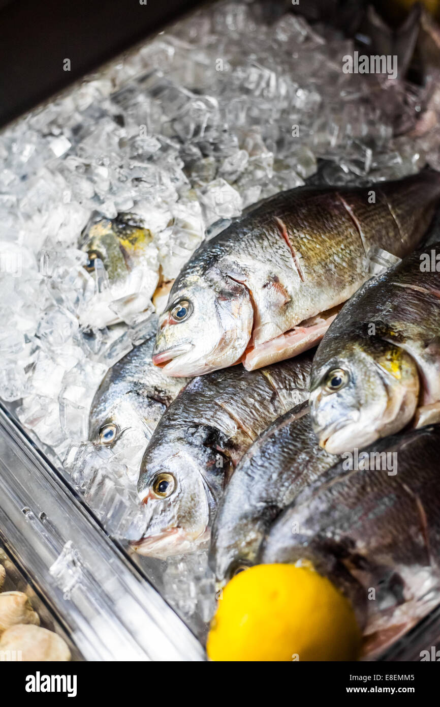 Raw Fish Counter in a Portuguese restaurant Stock Photo - Alamy