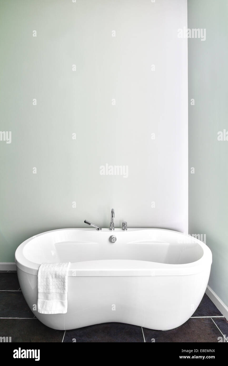Modern Bathroom with blank wall for your test, image or logo. Soft ...