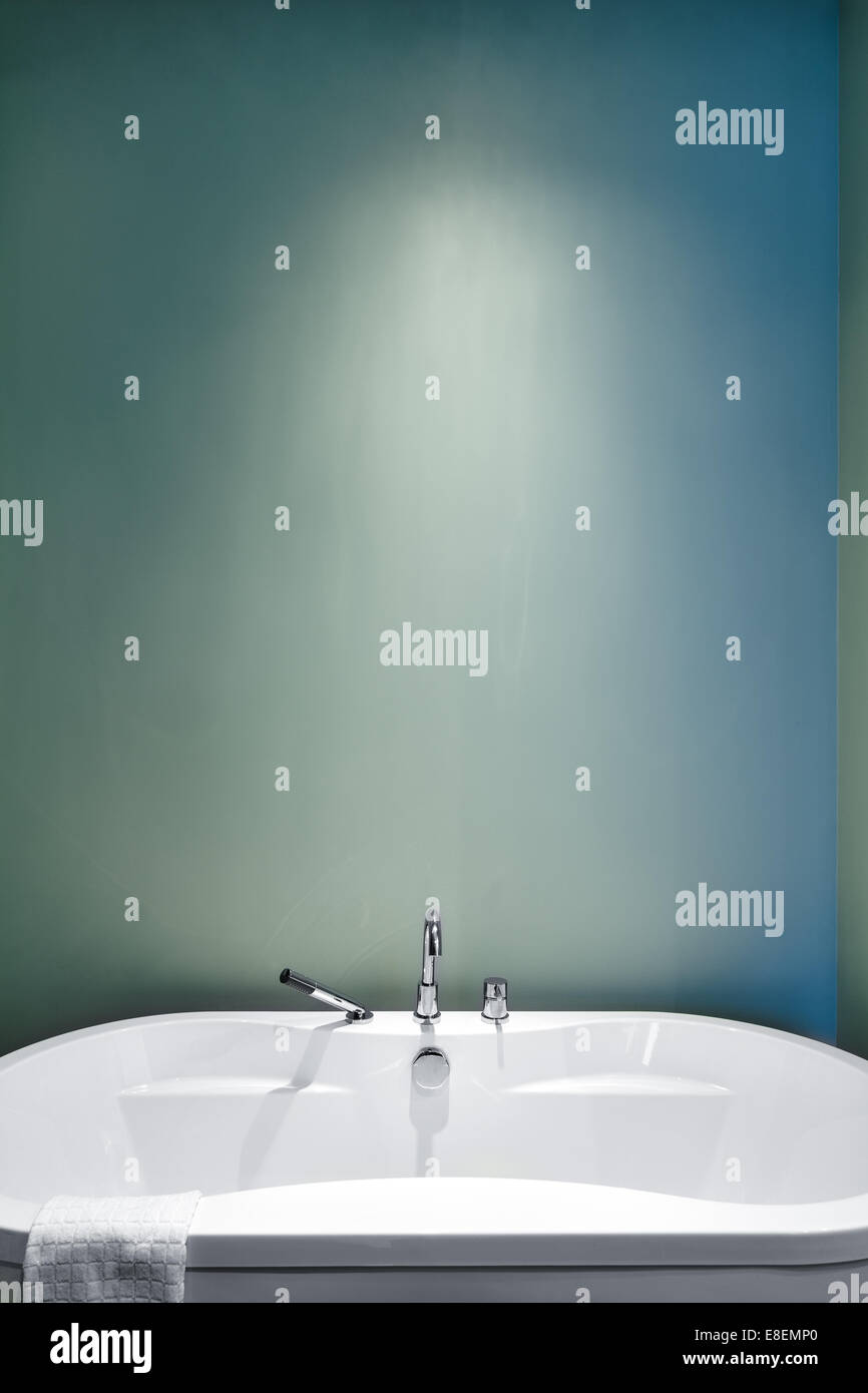 Modern Bathroom with blank wall for your test, image or logo. Soft ...