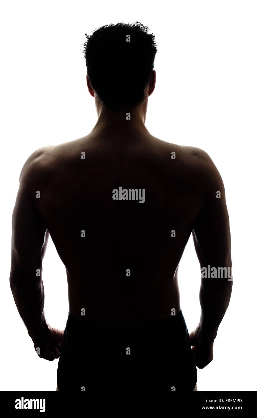 Muscular man's back in silhouette isolated on white background Stock ...