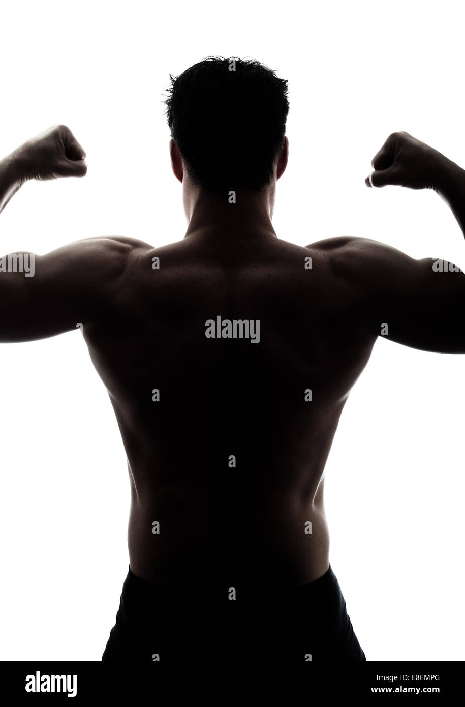 Muscular man's back in silhouette isolated on white background Stock ...