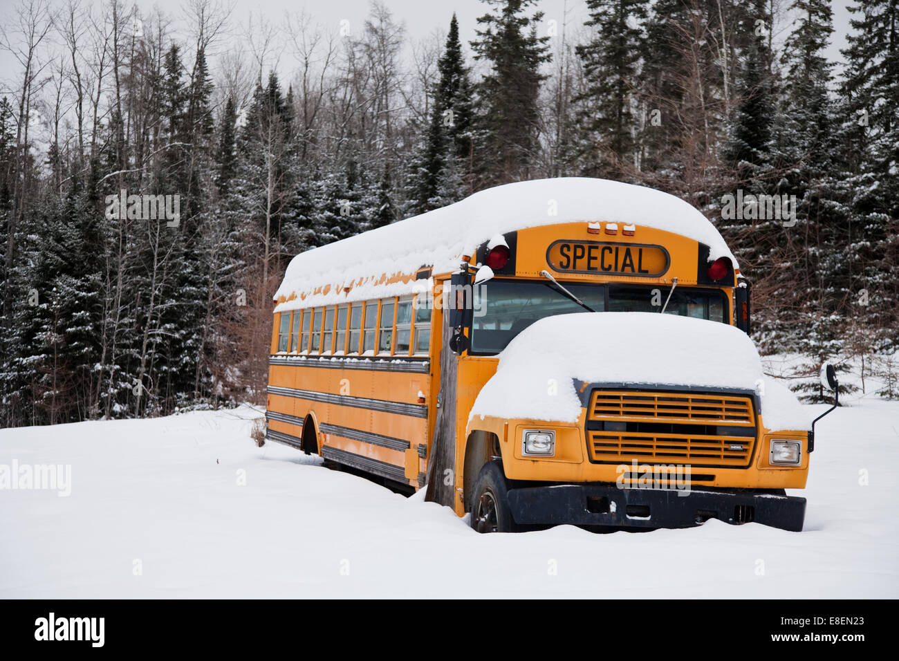 Abandoned weird school bus Stock Photo - Alamy