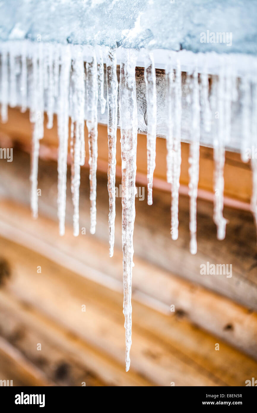 Long Icicles Melting of a Log Wood Chalet roof top Stock Photo - Alamy