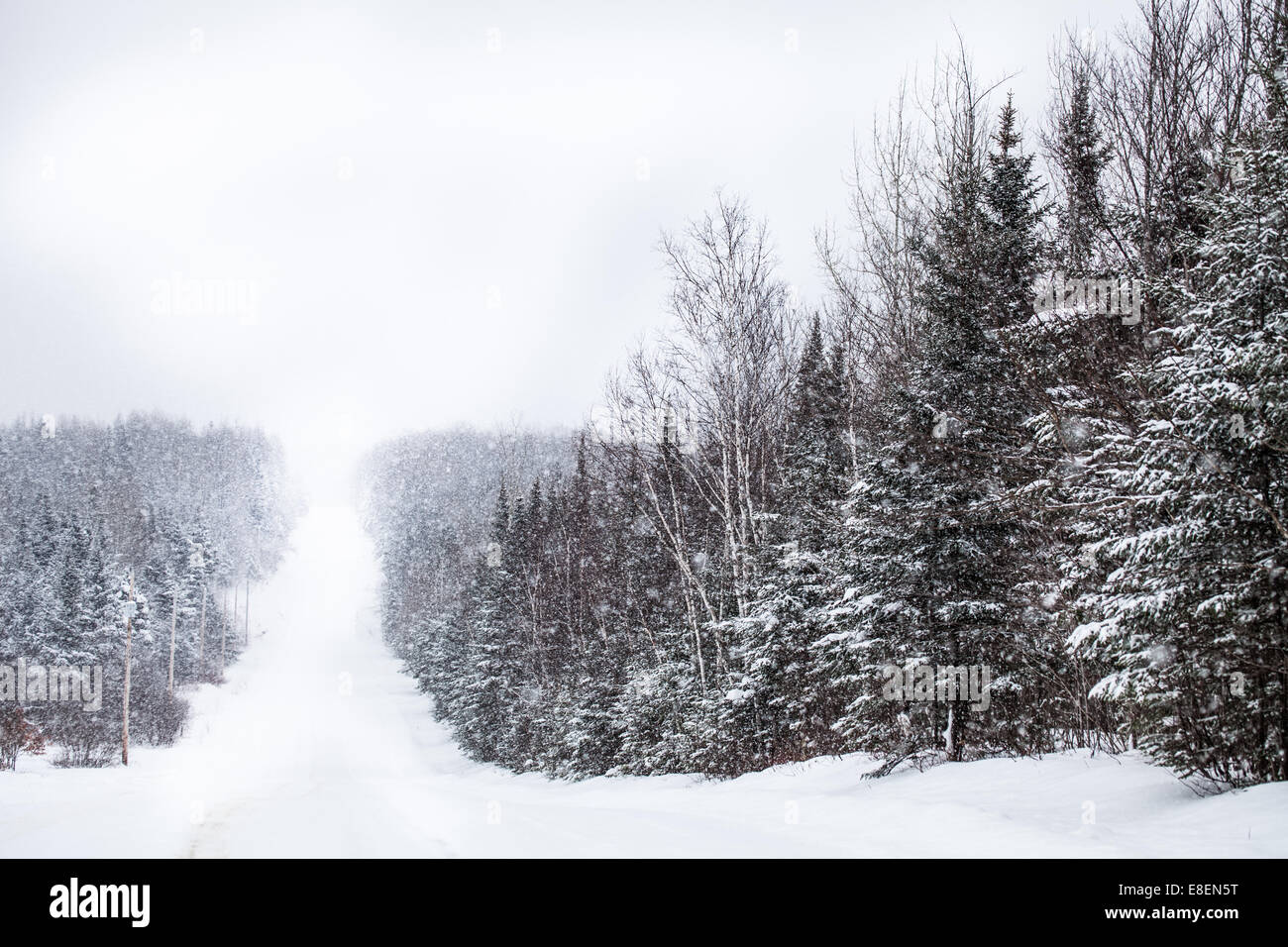 Country Road During a Snowstorm in Quebec Canada Stock Photo - Alamy