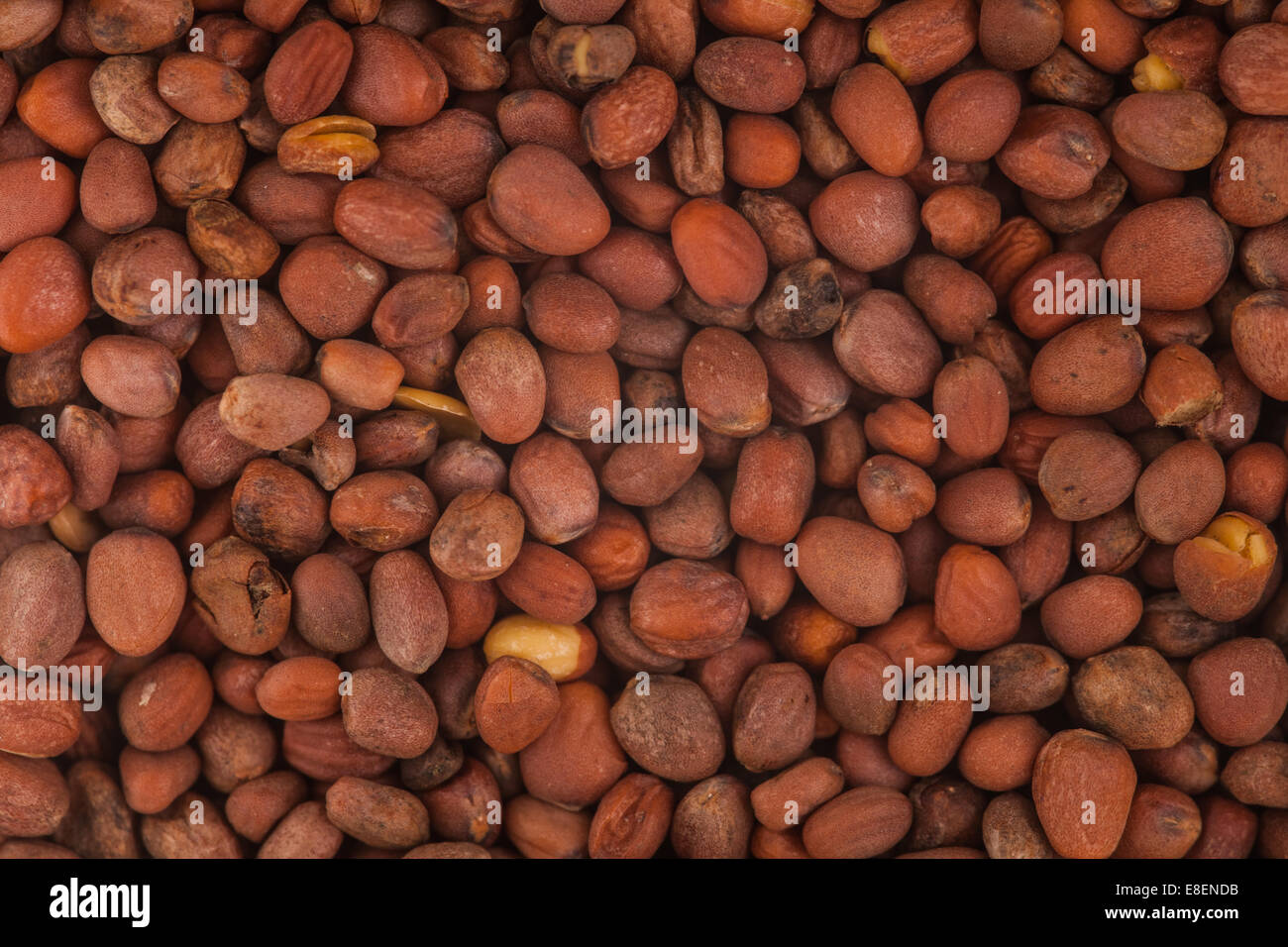 White radish seeds hi-res stock photography and images - Alamy