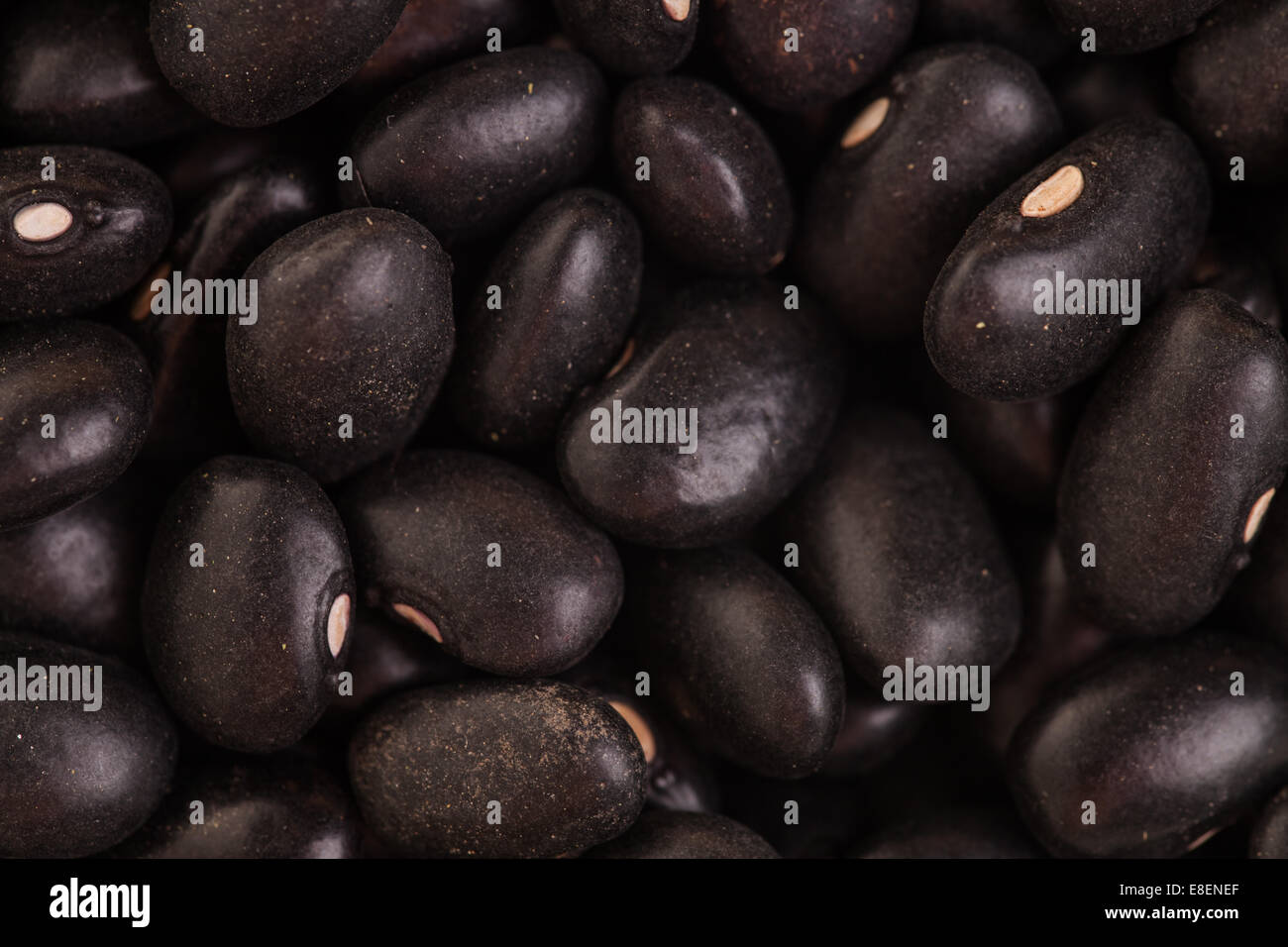Extreme Closeup Macro Texture of Black Beans Stock Photo - Alamy