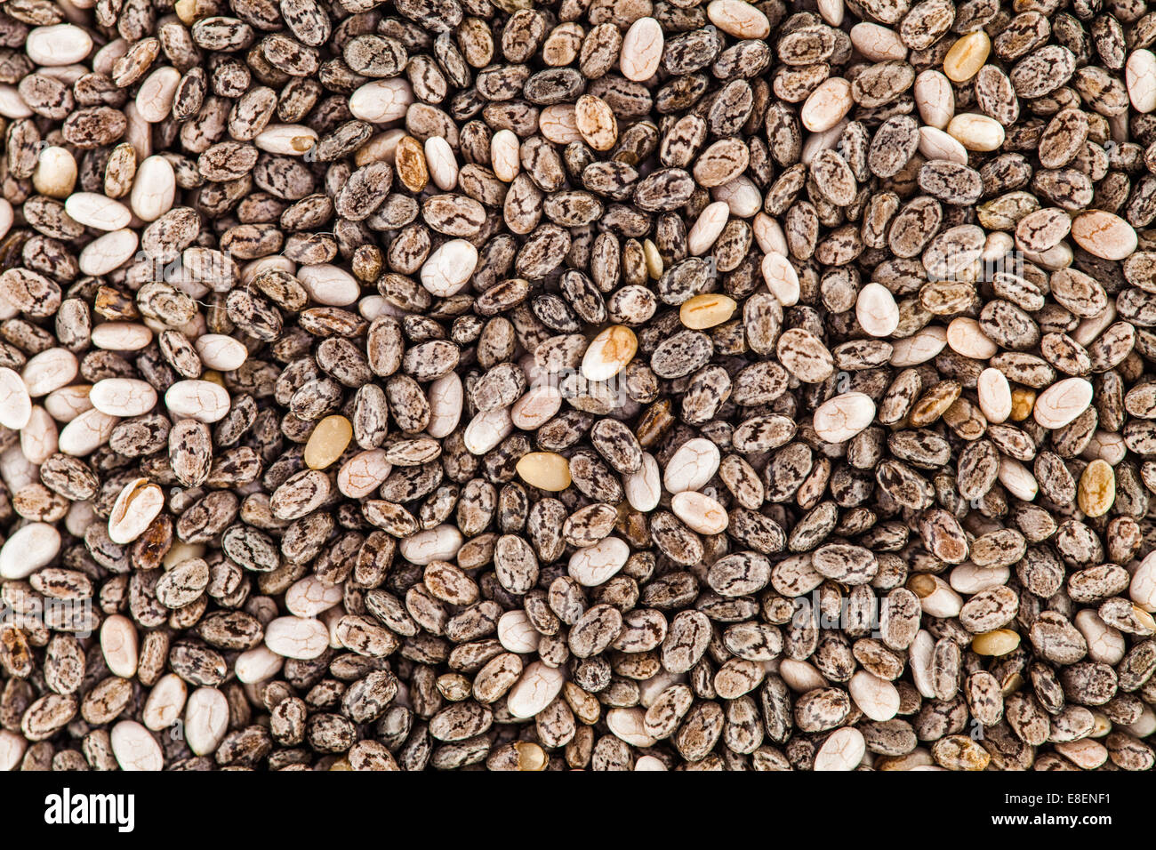 Extreme Closeup macro Texture of Chia Seeds - Studio Shot Stock Photo ...