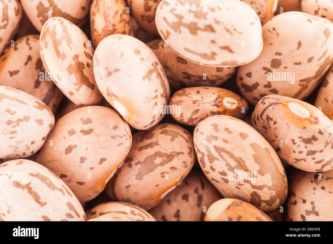 Extreme Macro Closeup of Beige Big Beans Stock Photo - Alamy
