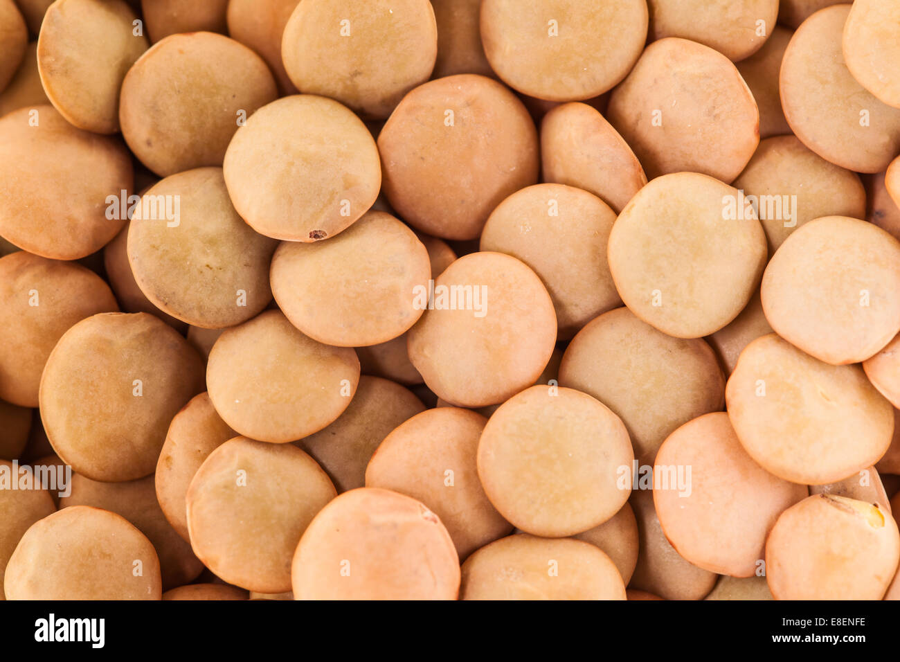 Extreme Closeup Texture of Lentils - Studio Shot Stock Photo - Alamy