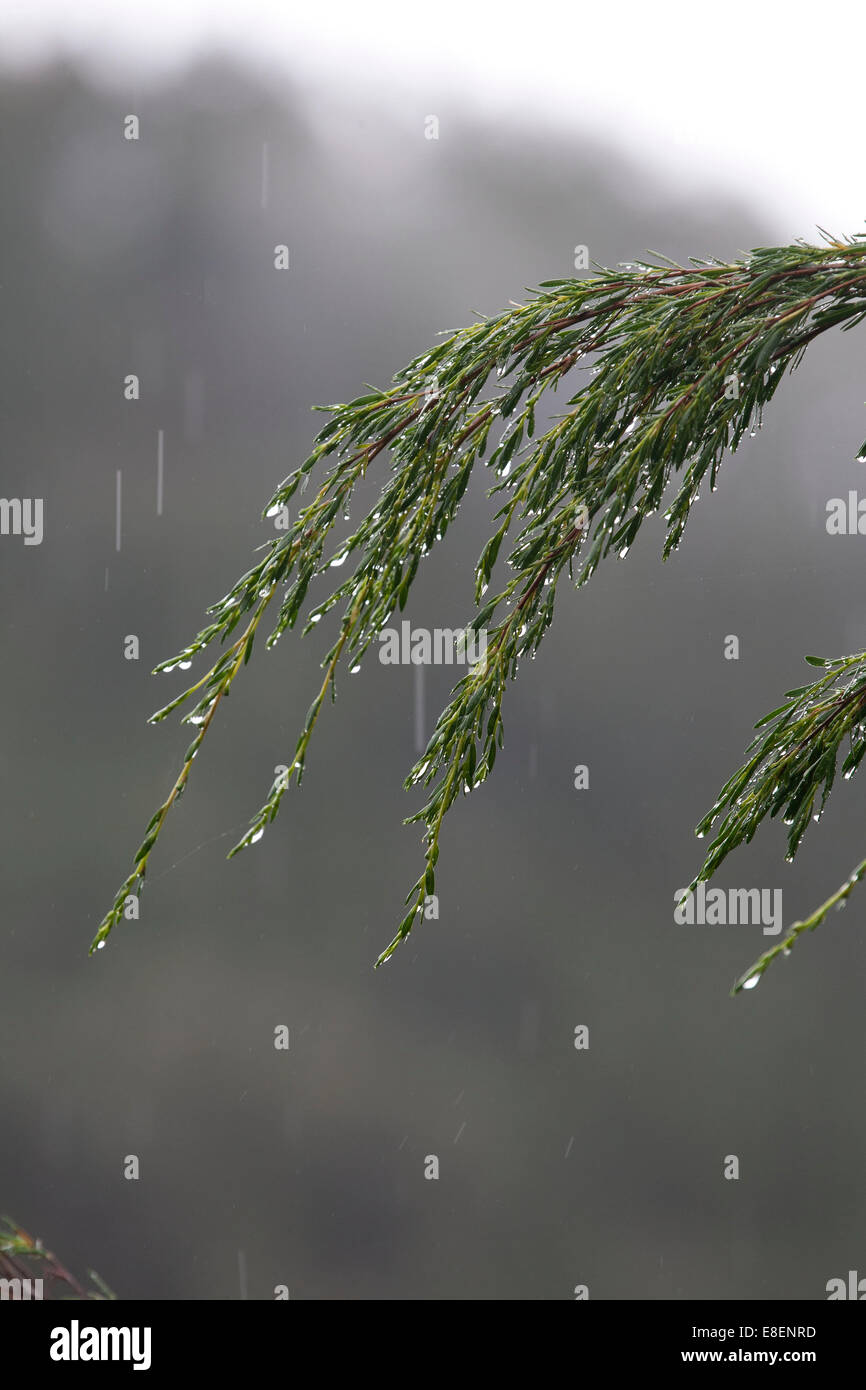 End of rain hi-res stock photography and images - Alamy