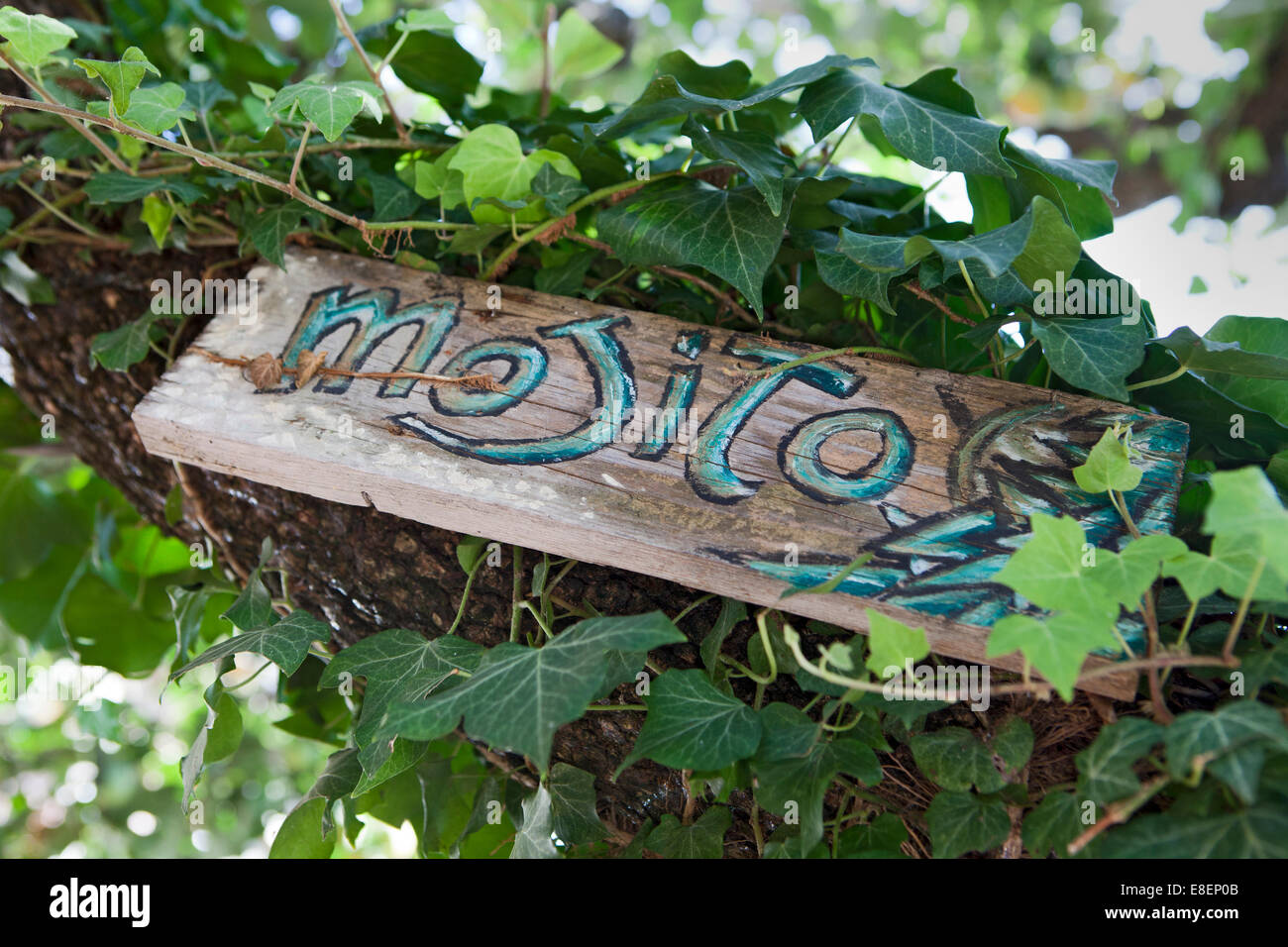 Lake Garda ' Lago di Garda or Lago Benaco' is the largest lake in Italy ...