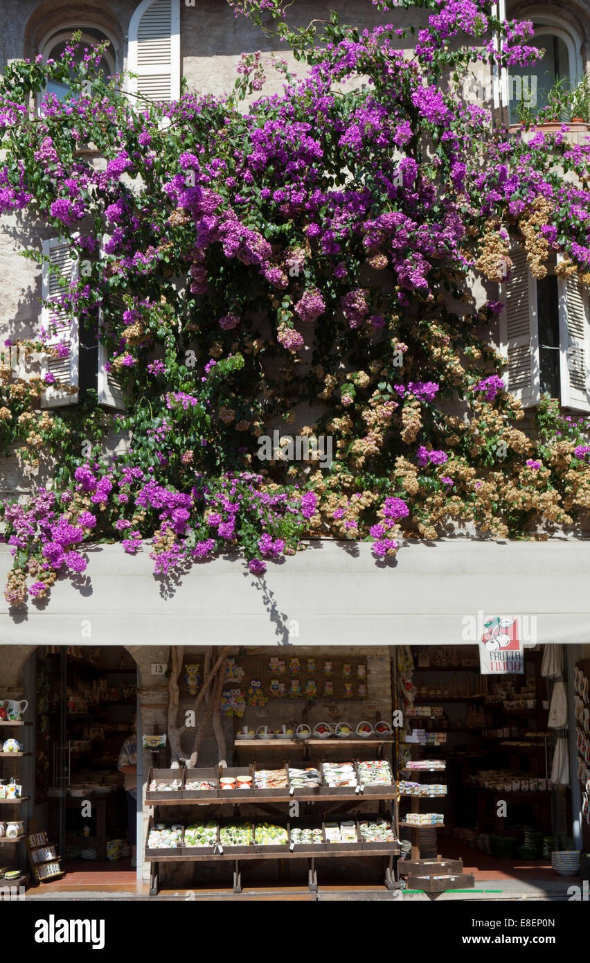 Food & Pasta store & Bougainvillea, Lake Garda ' Lago di Garda or Lago ...