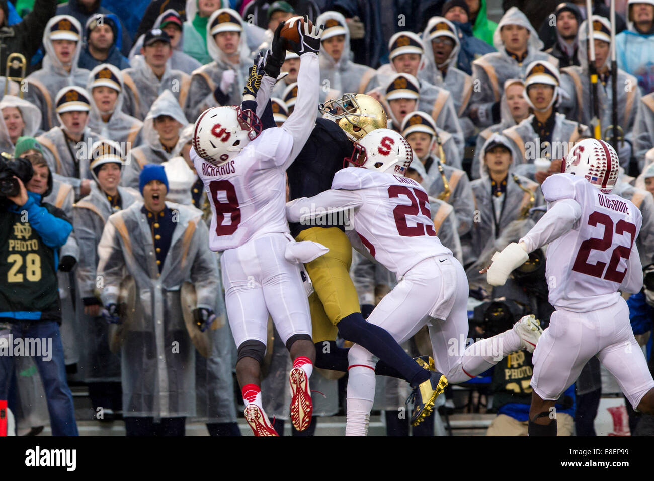 Alex Carter Stanford
