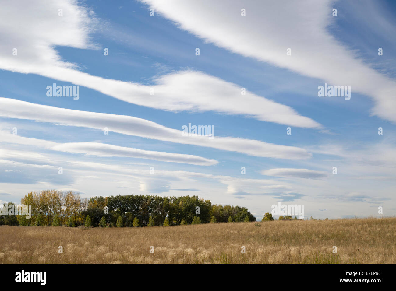 Cloud skyscape above the Canadian prairies Stock Photo - Alamy