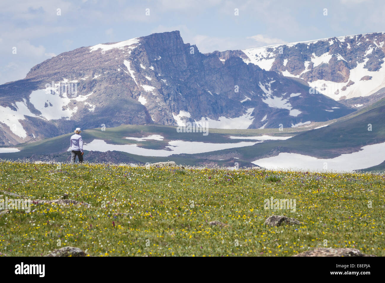 beautiful view from the top of the mountain with colorful spring ...