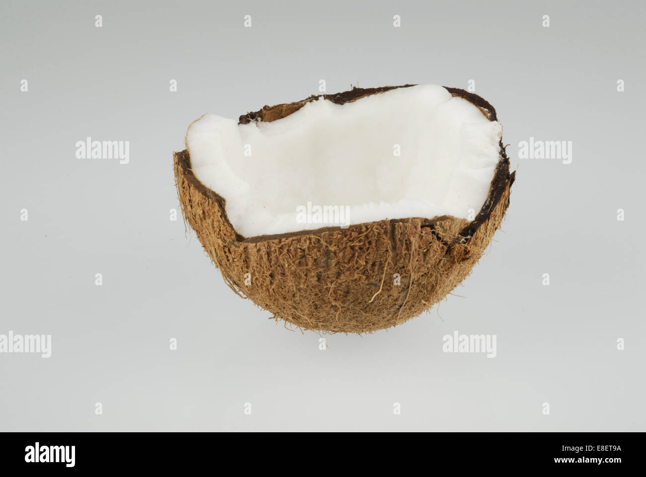 One open coconut on white background Stock Photo - Alamy