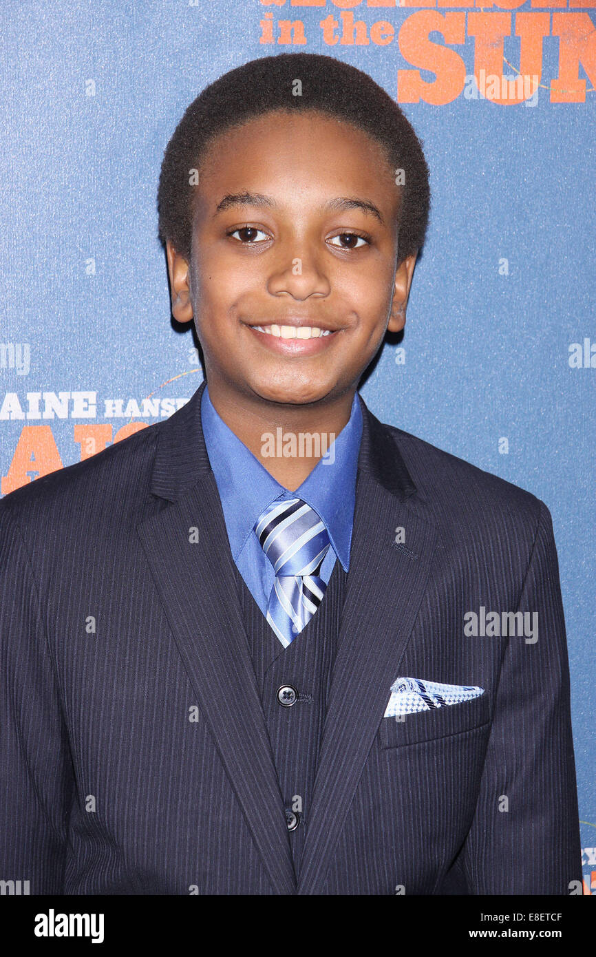 Opening night of A Raisin in the Sun at the Ethel Barrymore Theatre ...