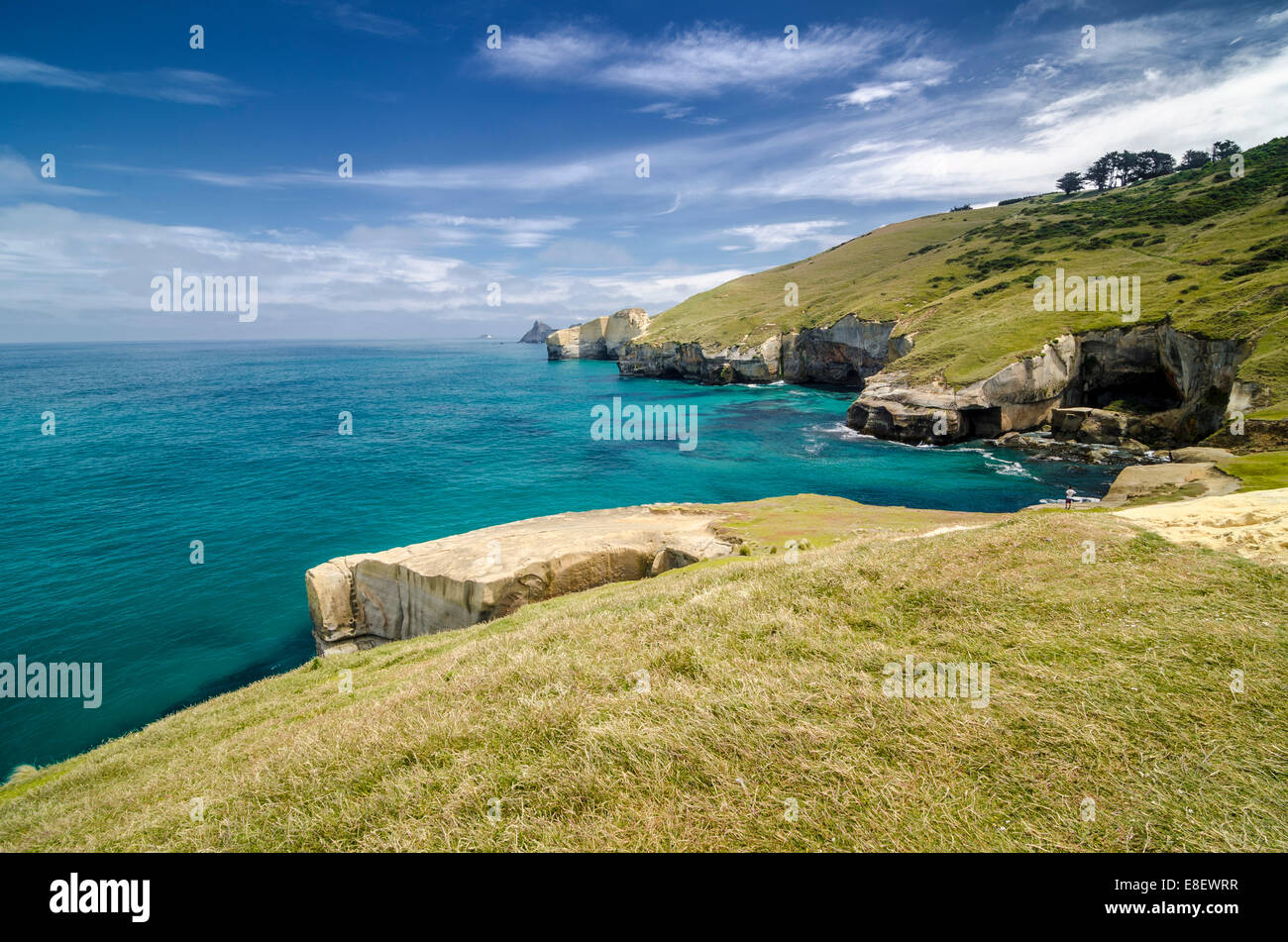 Rocky cliffs of the Pacific coast at Tunnel Beach, Dunedin, Otago ...