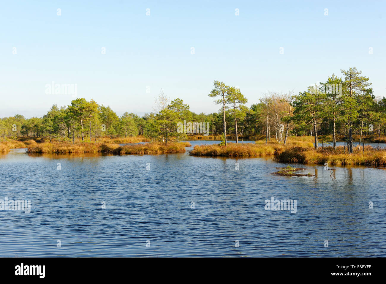 Raised pool hi-res stock photography and images - Alamy