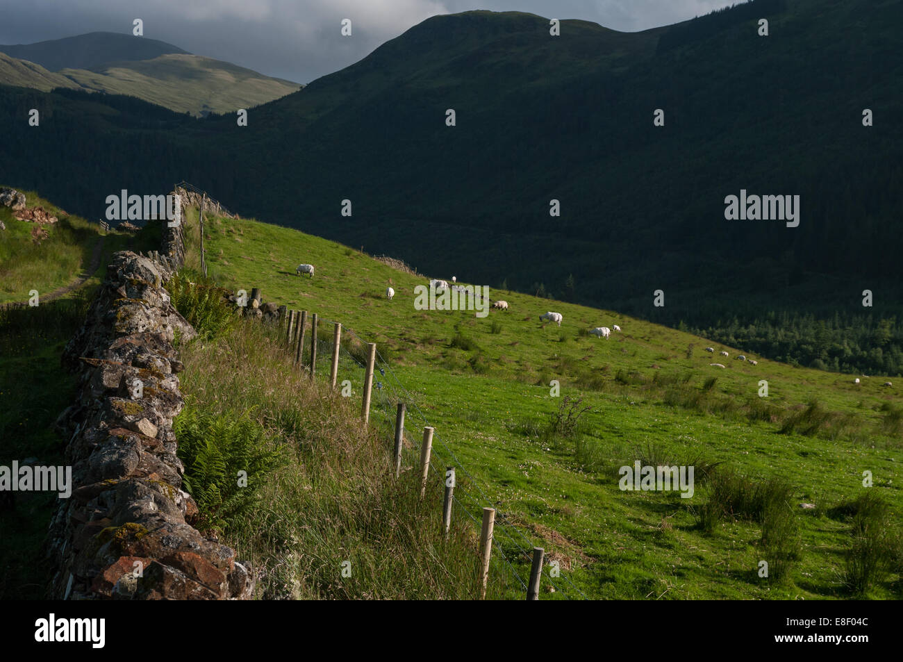 Ben Nevis Walley Stock Photo - Alamy