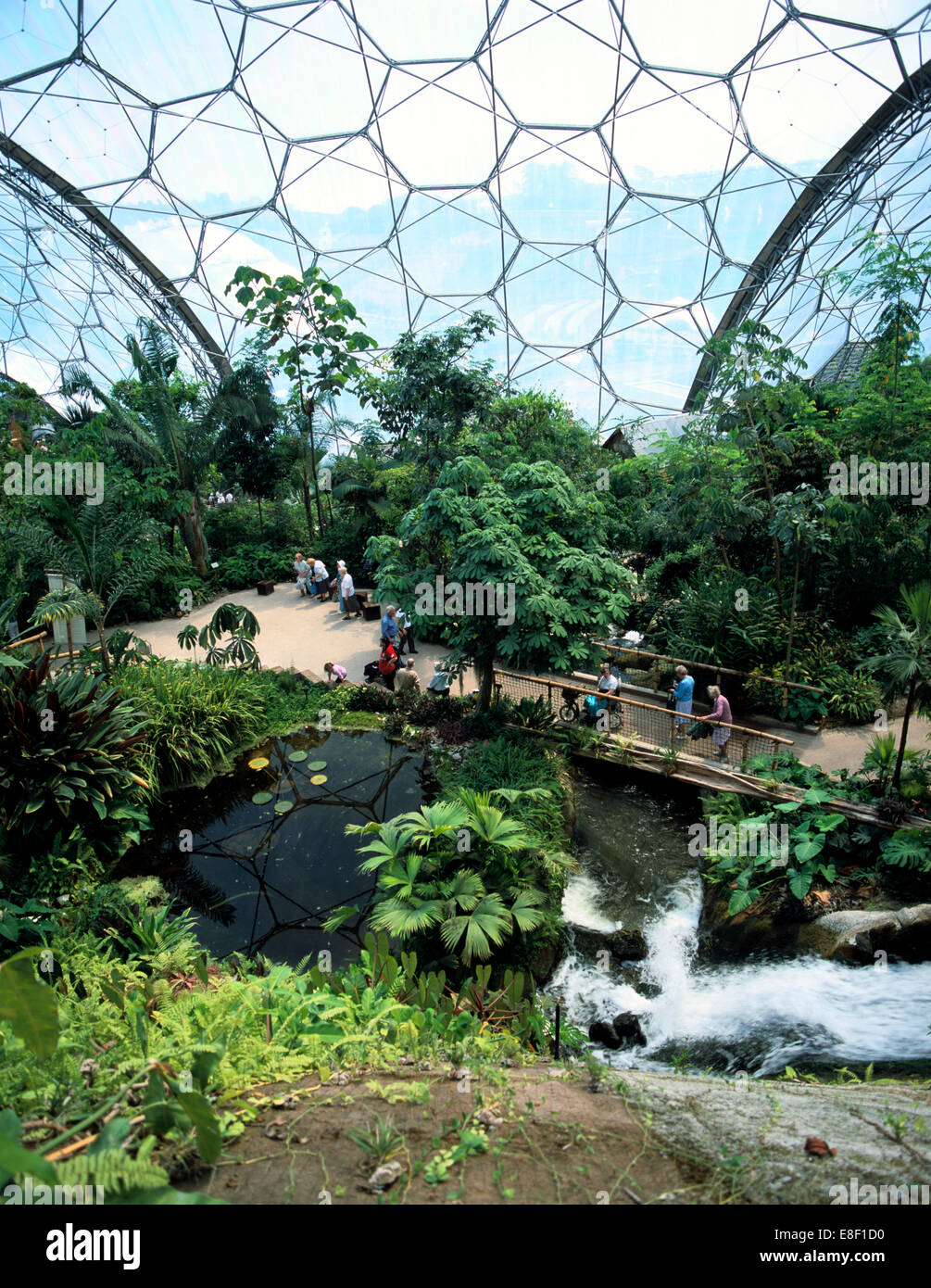 Inside the Humid Tropics Biome, Eden Project, Cornwall Stock Photo - Alamy