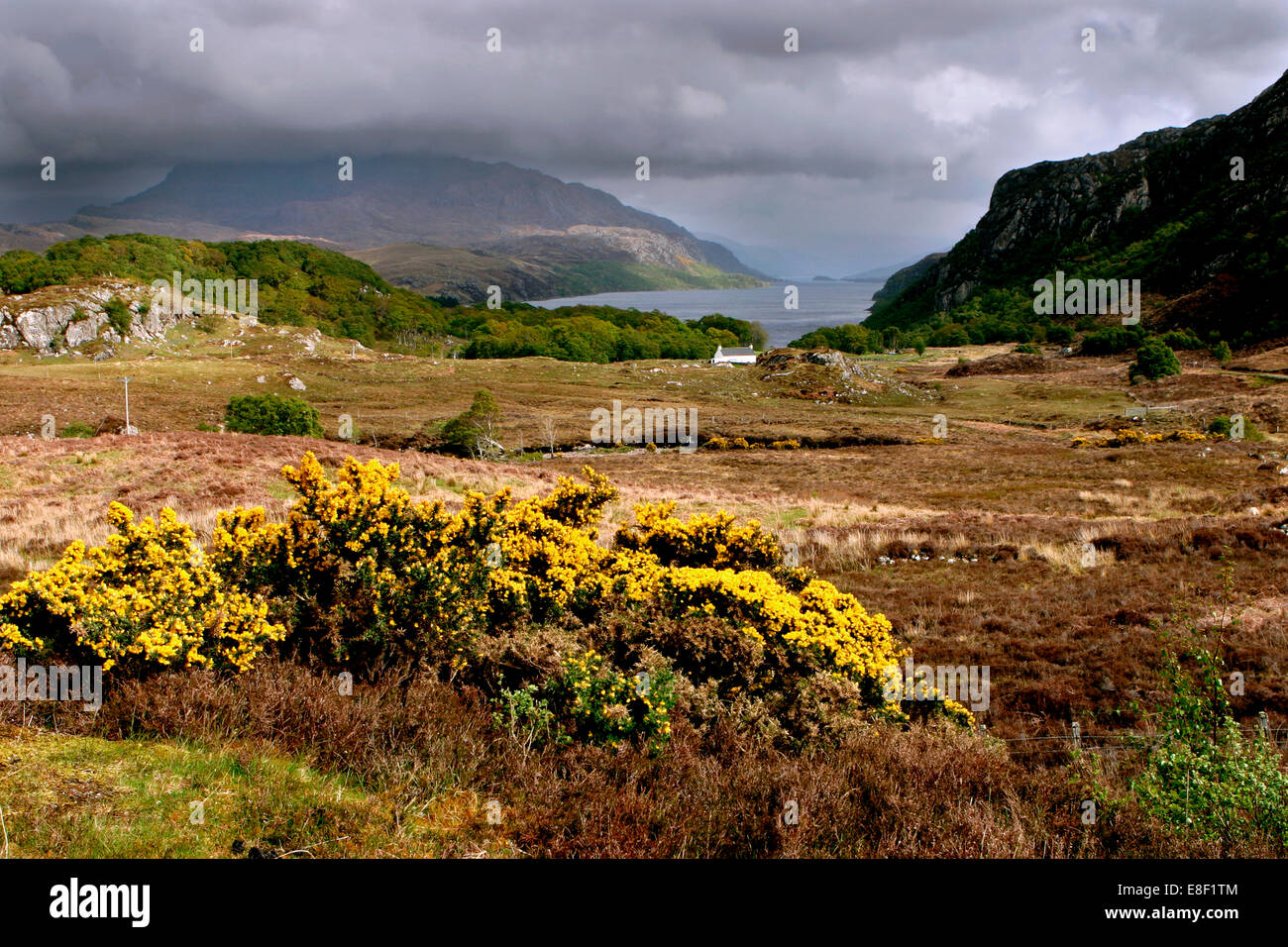 Loch Maree, Highland, Scotland Stock Photo - Alamy