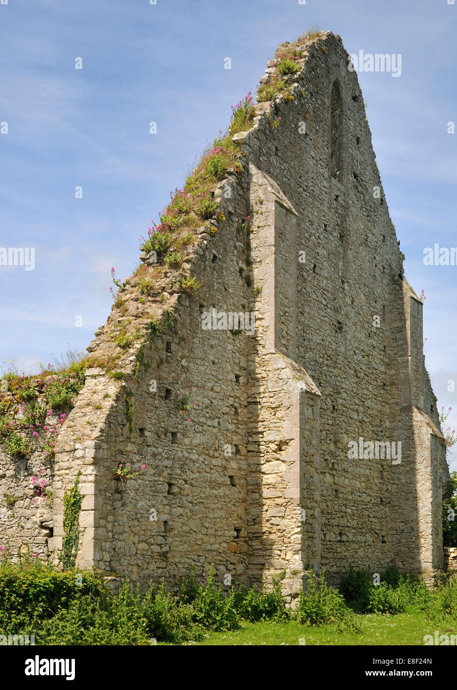 Gable Wall of St Leonards Grange medieval tithe barn, New Forest Stock ...
