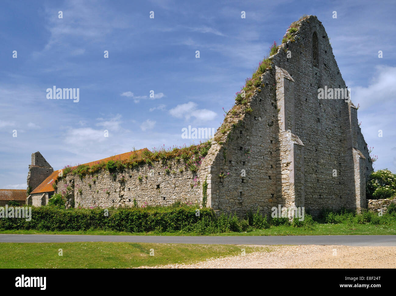 Gable Wall of St Leonards Grange medieval tithe barn, New Forest Stock ...
