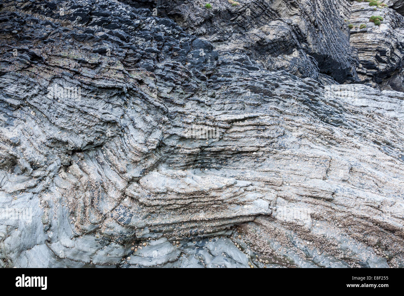Interesting geology on the beach at Cwmtydu in West Wales Stock Photo ...