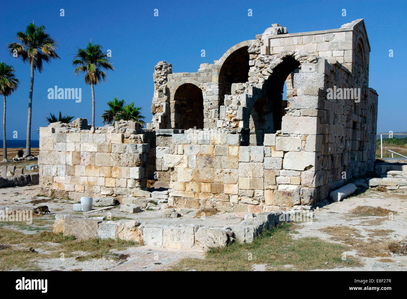 Ruins of the Basilica of Ayios Philion, Dipkarpaz (Rizokarpaso), North ...