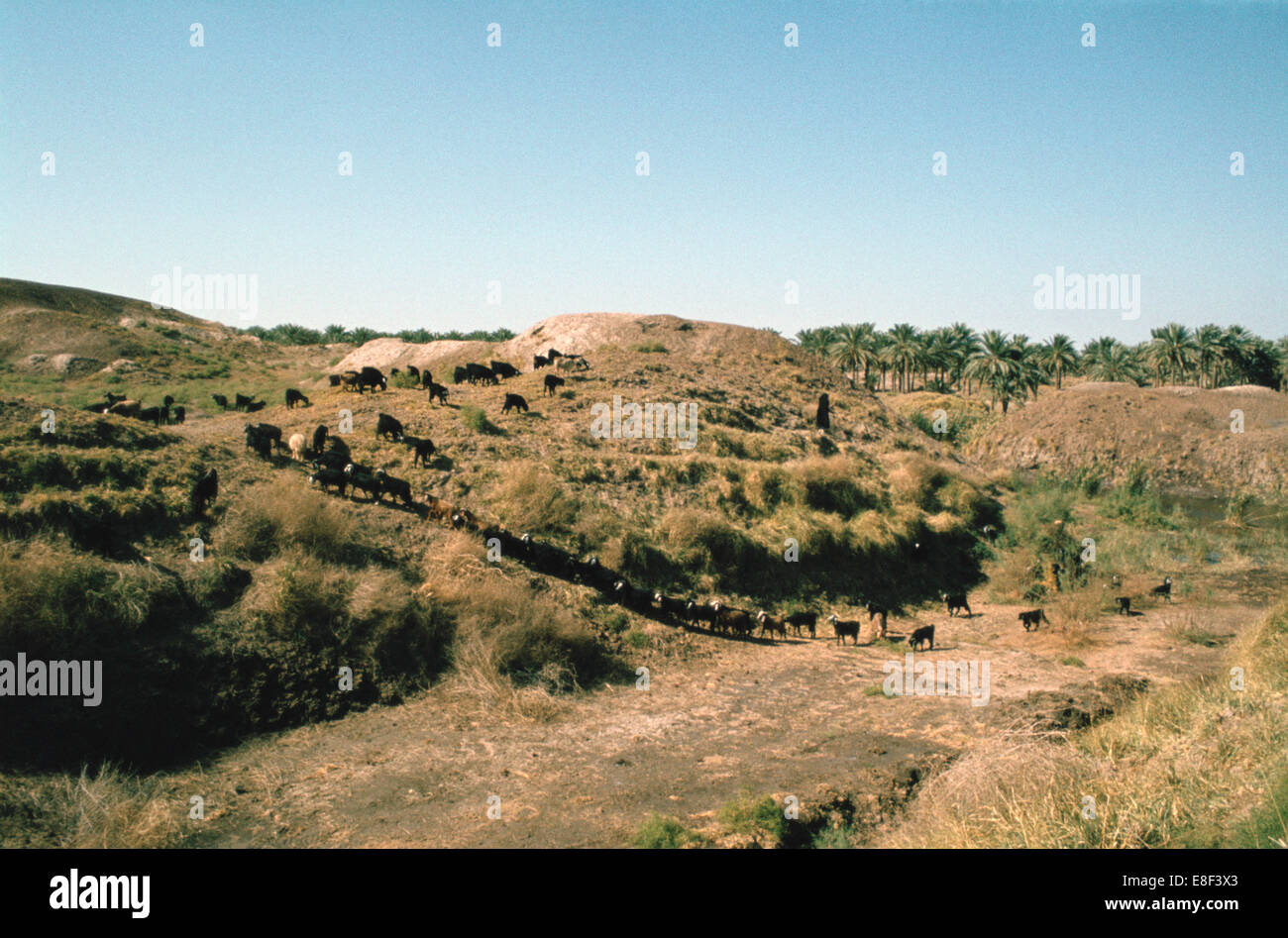 Tower of babel iraq hi-res stock photography and images - Alamy