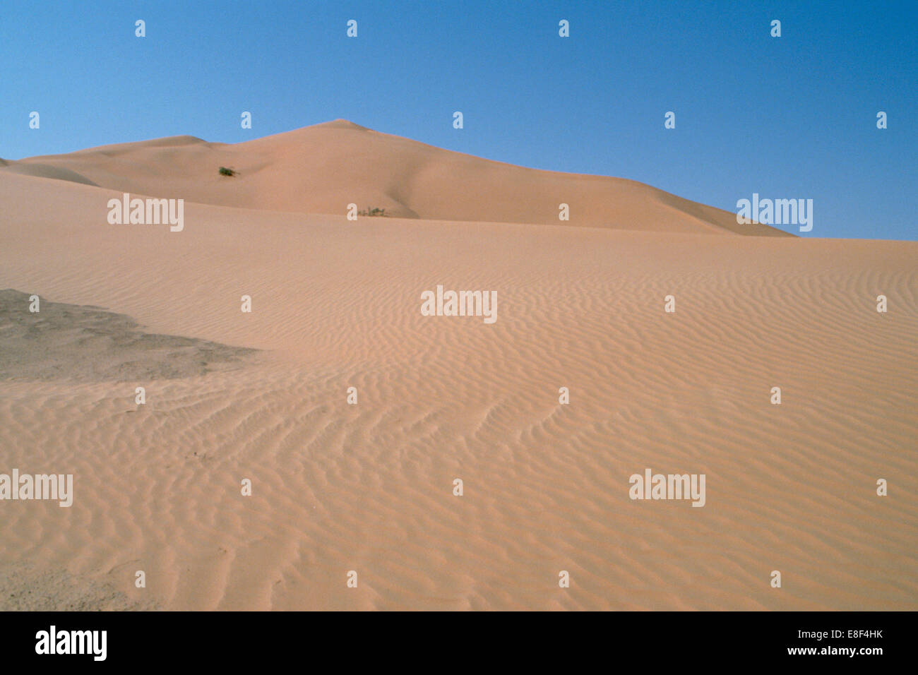 The Empty Quarter, Oman Stock Photo - Alamy