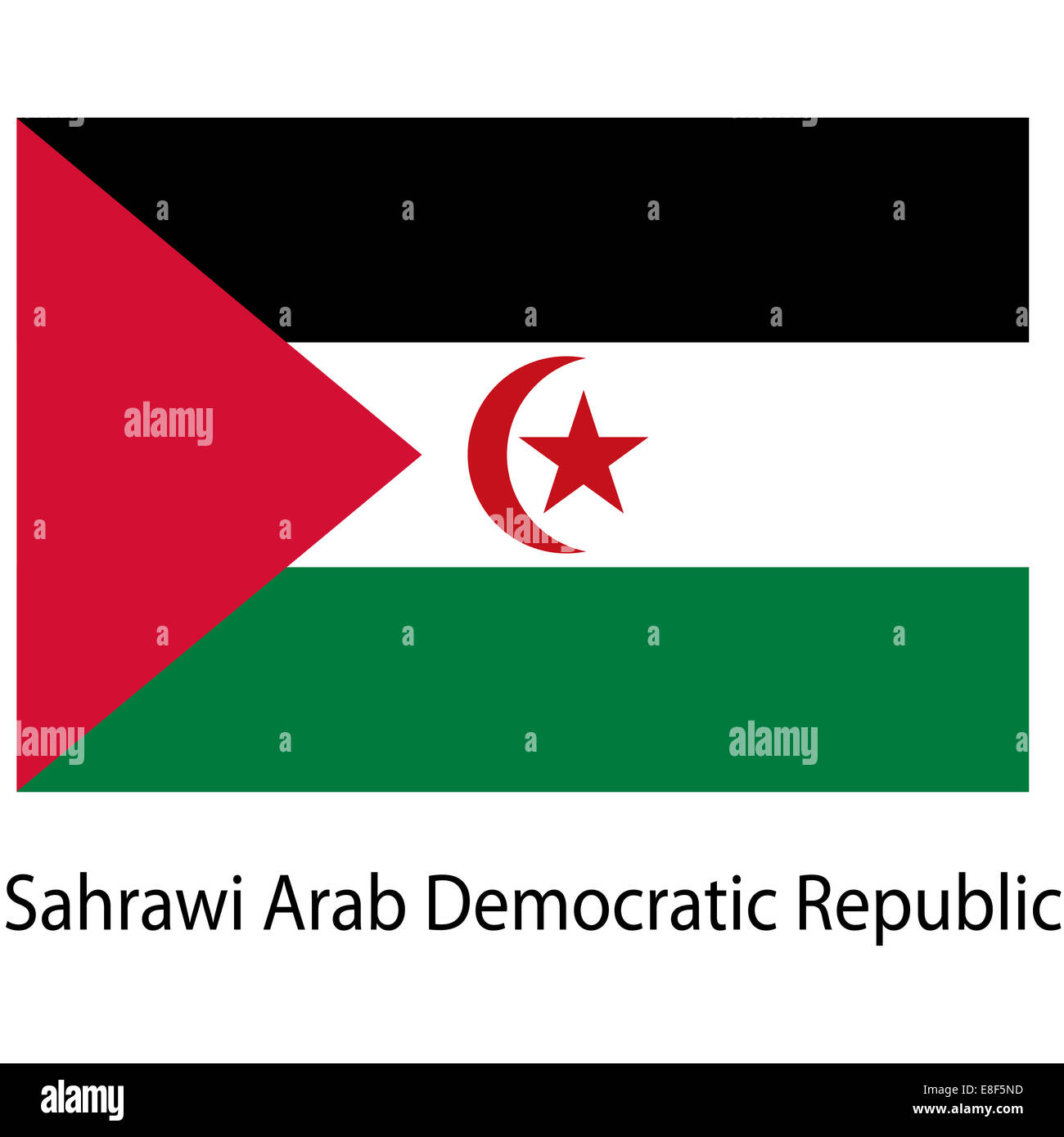 Flag of the country sahrawi arab democratic republic. Vector i Stock ...