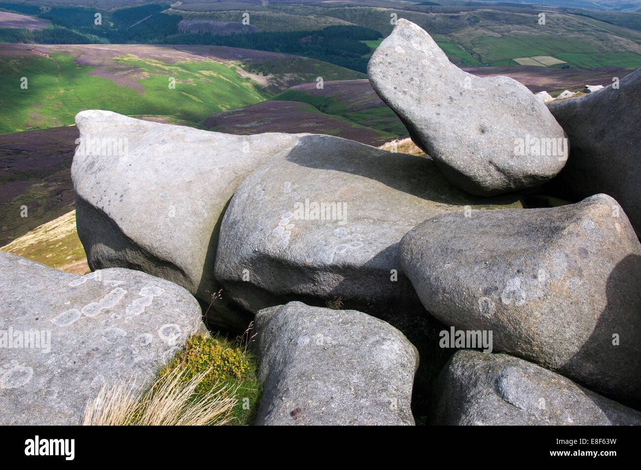 Gritstone rock formations on Kinder Scout. Heather blooming on the ...