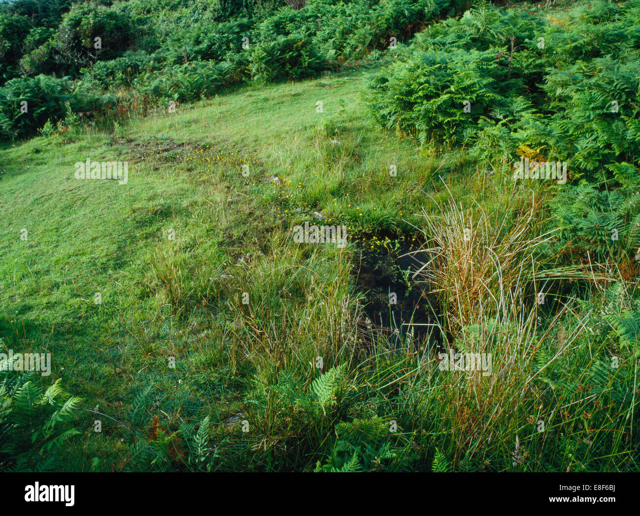 Rising slope hi-res stock photography and images - Alamy