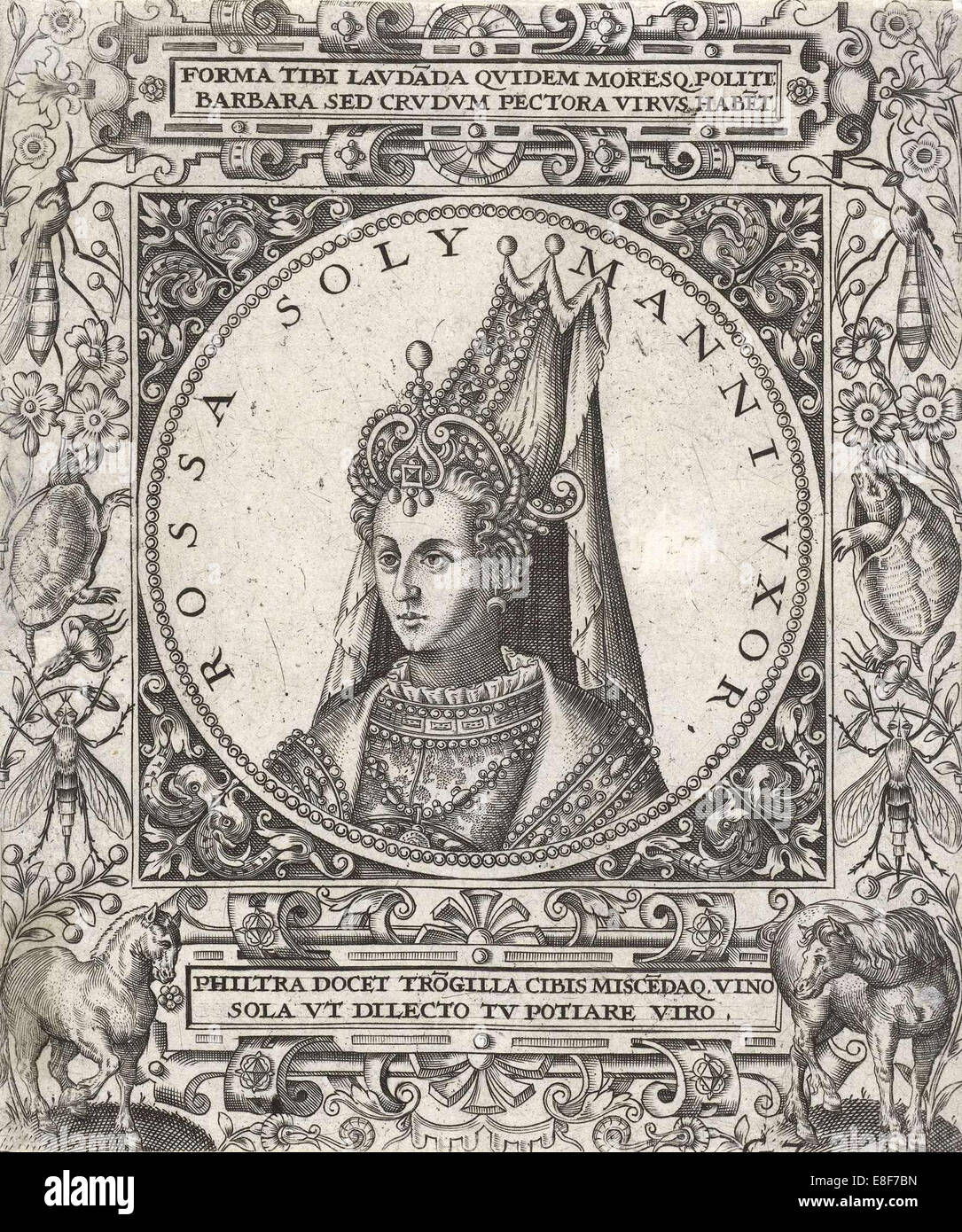 Roxelana portrait hi-res stock photography and images - Alamy