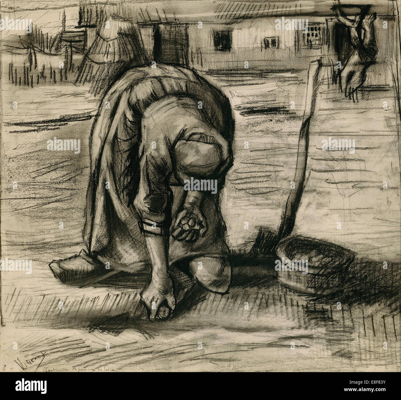 Potatoes peasant hi-res stock photography and images - Alamy