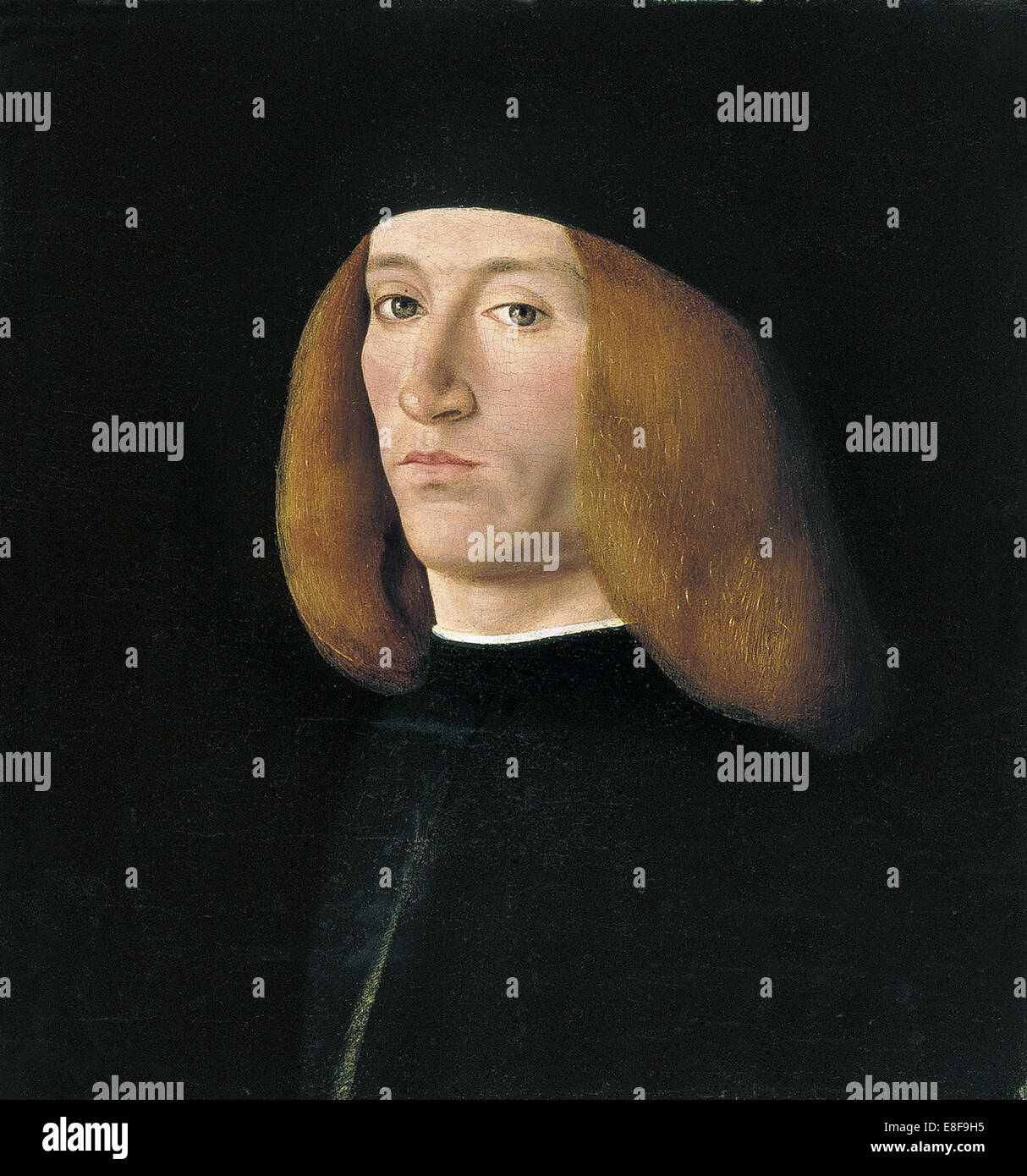 Portrait of a Young Man. Artist: Solari (Solario), Andrea (1470-1524 ...