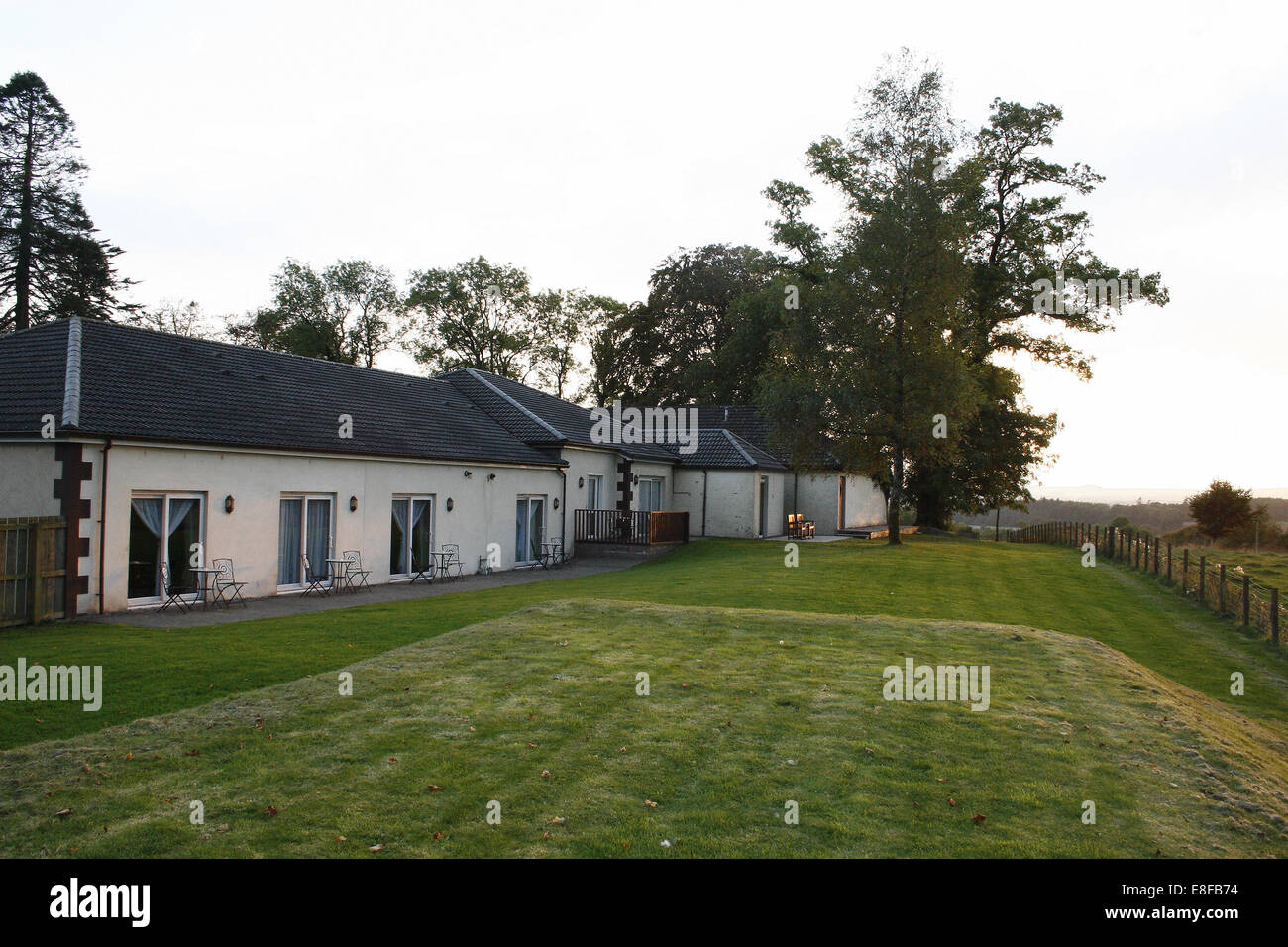 Scotland uk lockerbie tree hi-res stock photography and images - Alamy