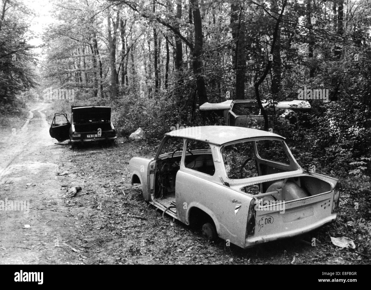 The picture shows GDR cars which have been broken open in a forest near ...