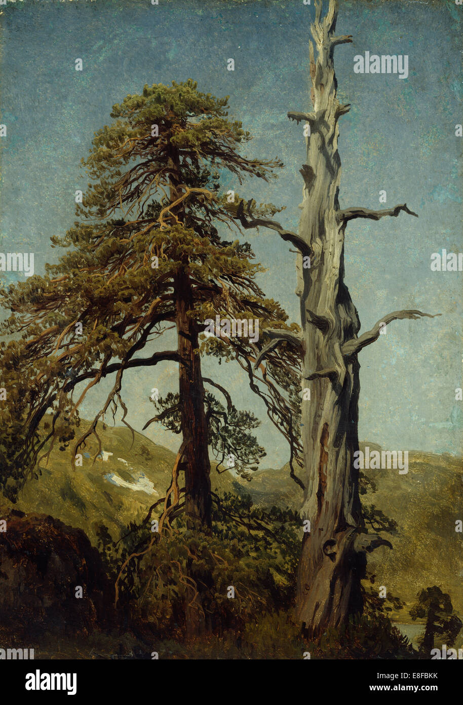 Trees artist hi-res stock photography and images - Alamy