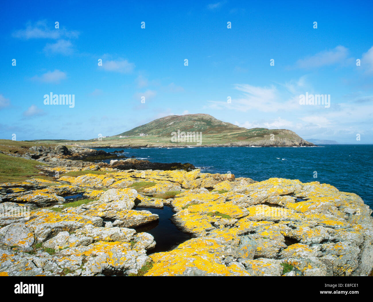 Pen cristin hi-res stock photography and images - Alamy