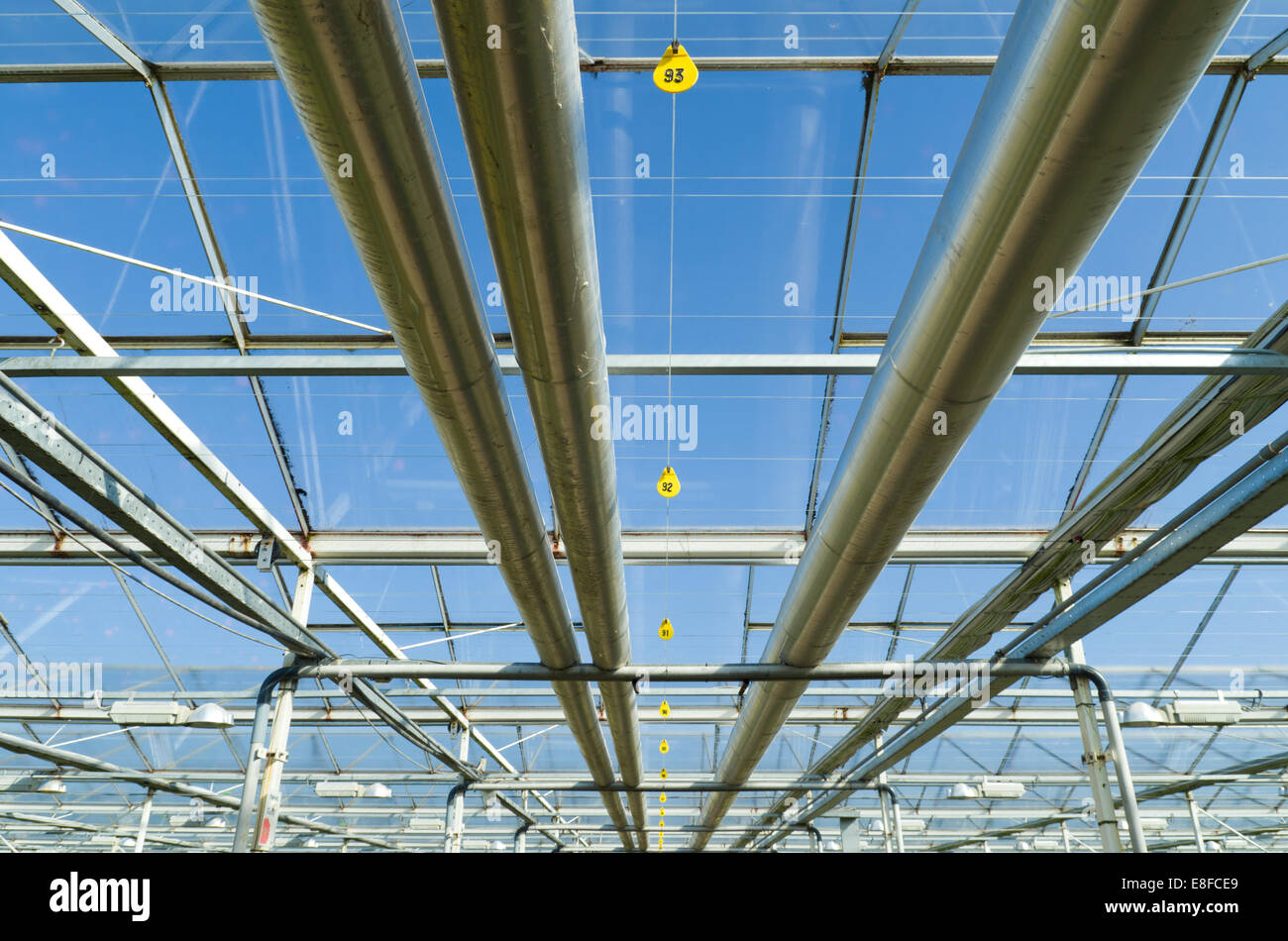 Greenhouse interior hi-res stock photography and images - Alamy