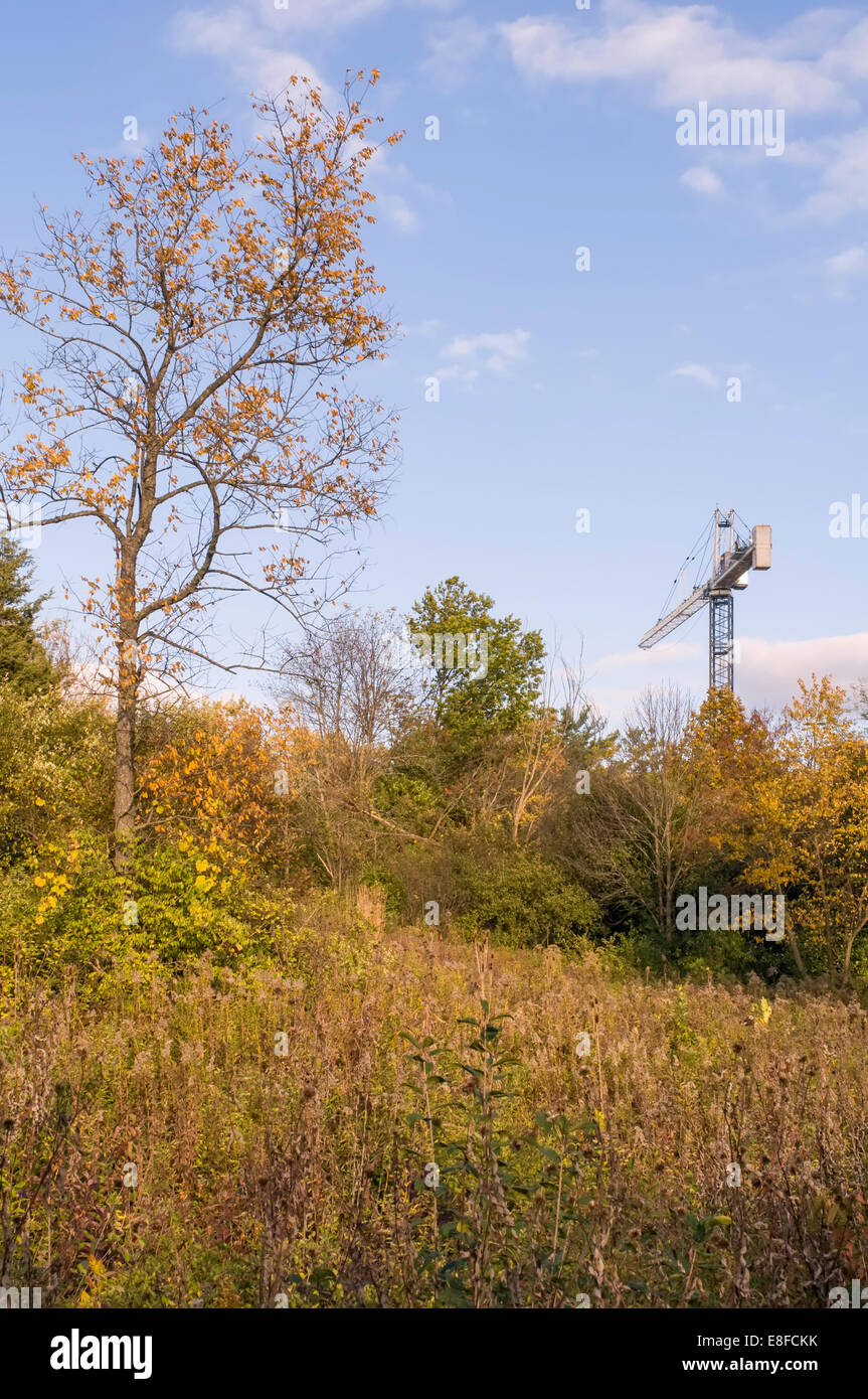Crane in rural landscape, Downers Grove, DuPage County, Illinois, USA ...